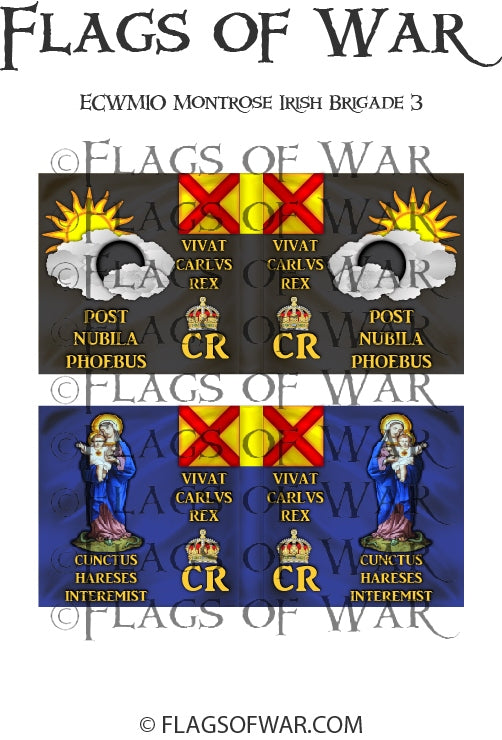 ECWM10 Montrose Irish Brigade 3 – Flags of War